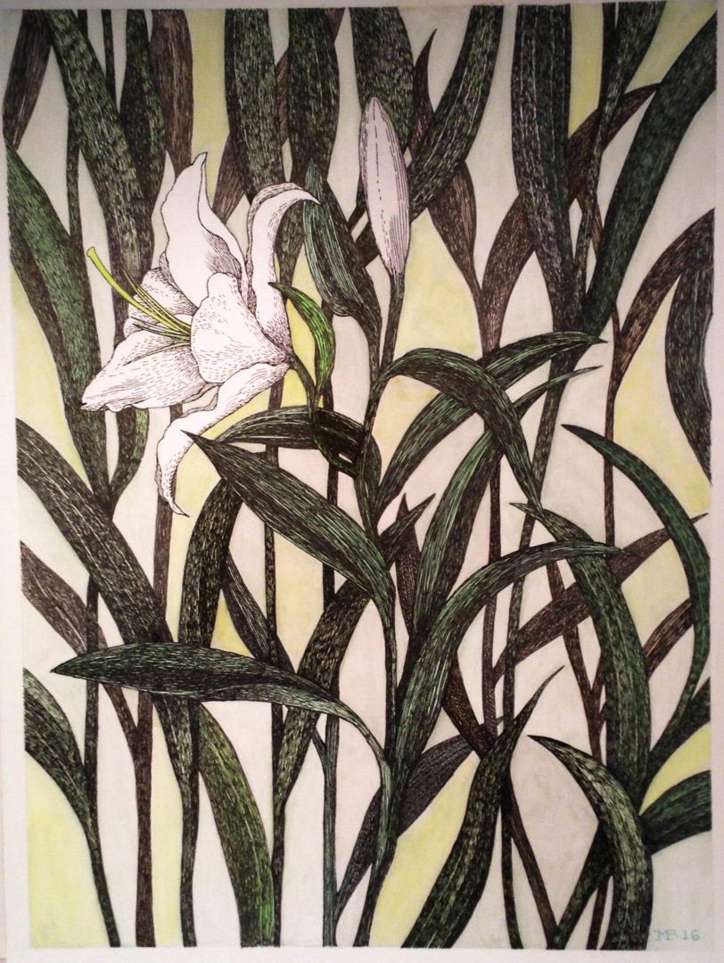 WHITE LILY - Ink and water color., in Drawings in Ink & Water Color